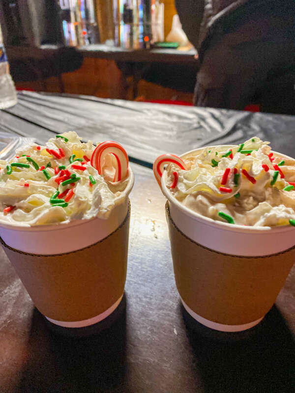 Christmas in Queens: A Guide To Amaze Light Festival - No Man Nomad